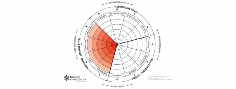 LSI 1 Series: Power | Human Synergistics New Zealand