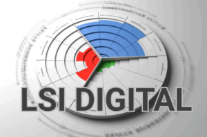 LSI Digital | Human Synergistics New Zealand