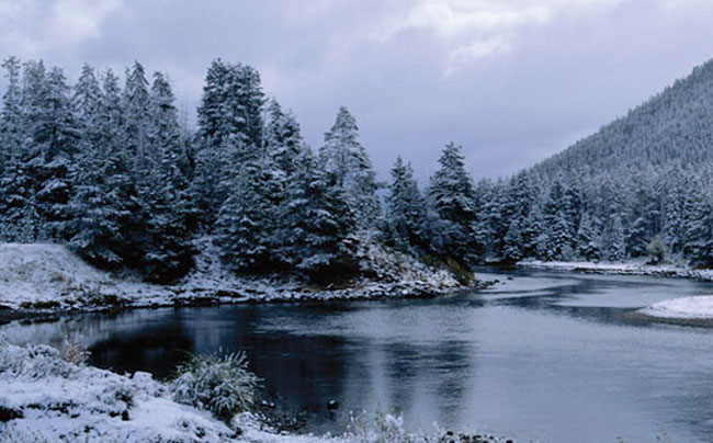 Simulations for Teams | Human Synergistics New Zealand